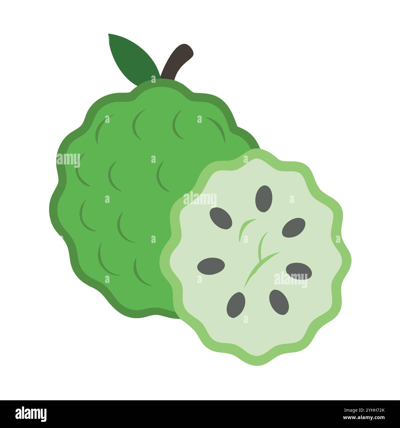 simple vector illustration of a cherimoya, in a simple and clean style ...