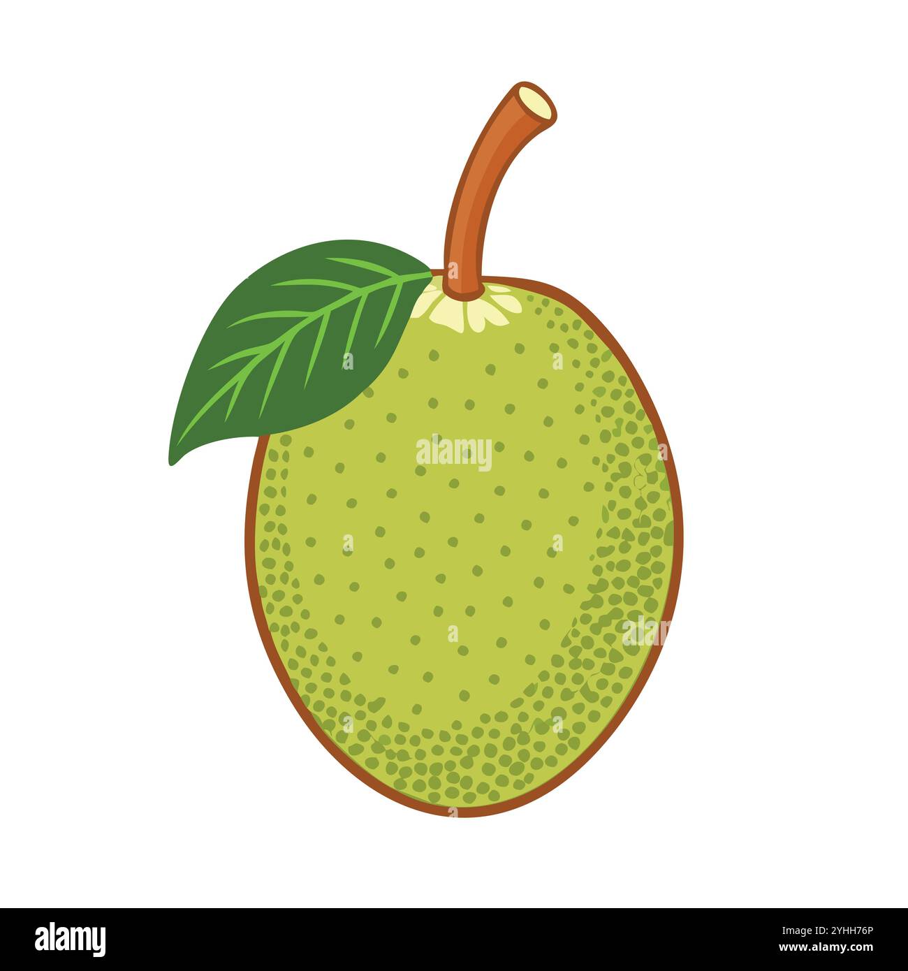 simple vector illustration of a breadfruit, in a simple and clean style, suitable for food and ...