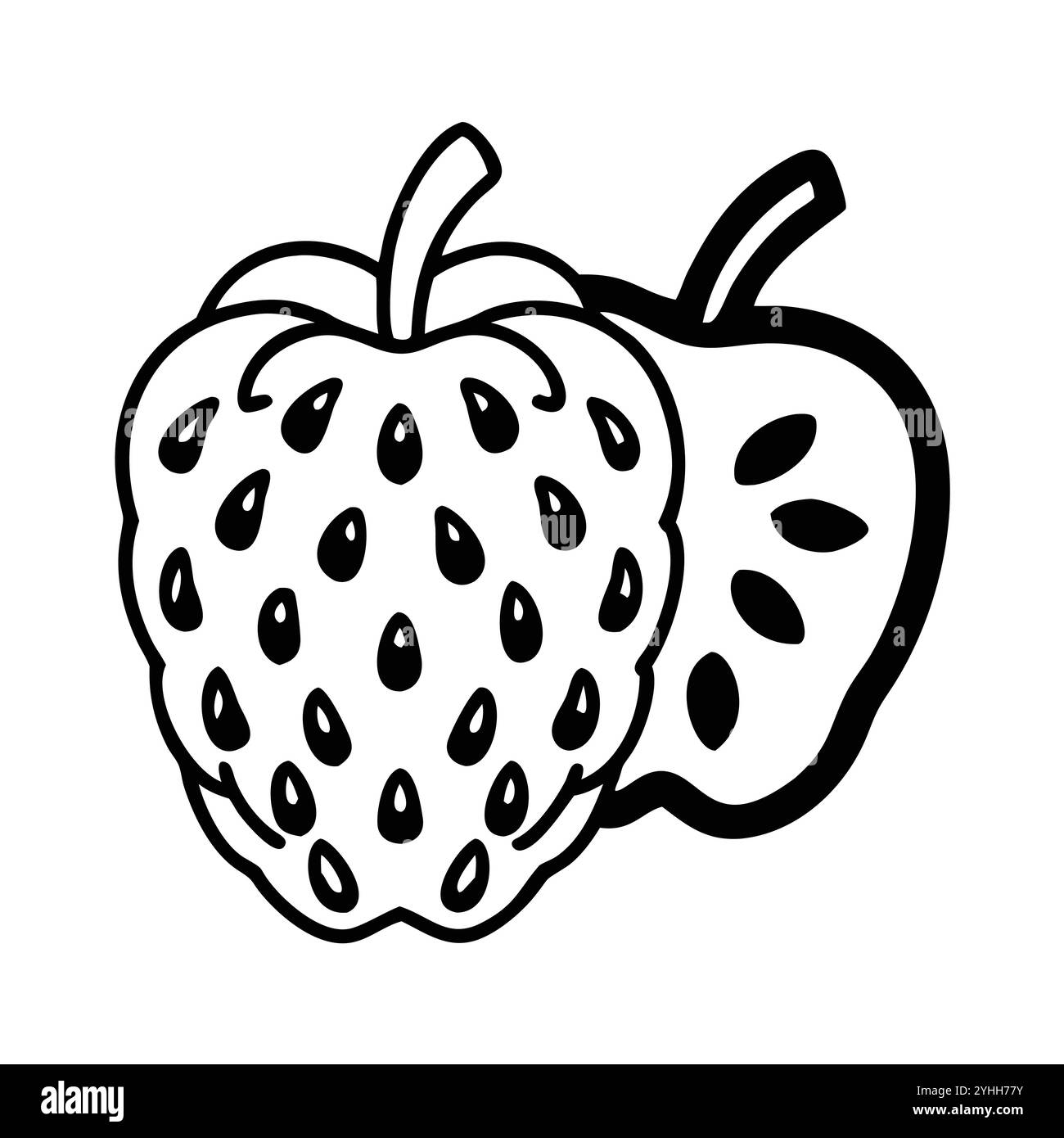 simple vector illustration of a cherimoya, in a simple and clean style ...