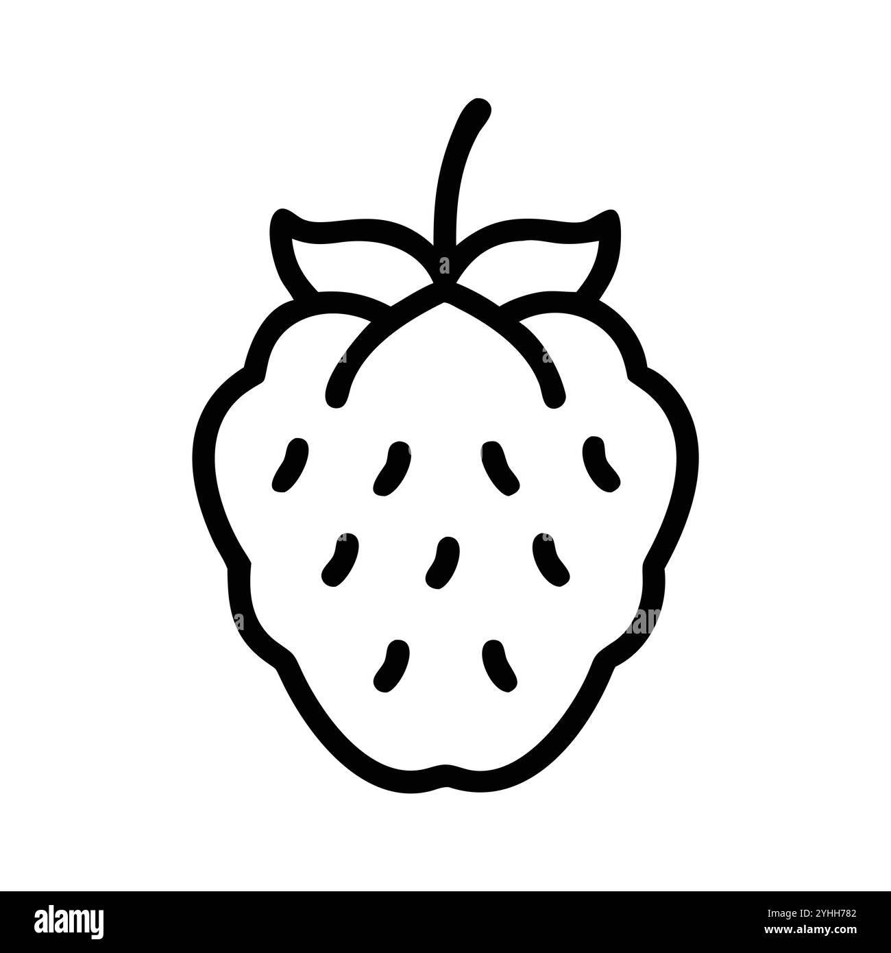 simple vector illustration of a cherimoya, in a simple and clean style ...