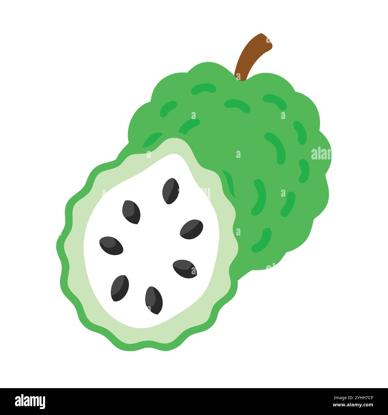 simple vector illustration of a cherimoya, in a simple and clean style ...