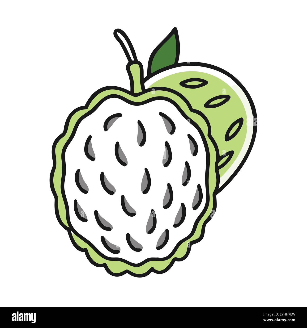 simple vector illustration of a cherimoya, in a simple and clean style ...