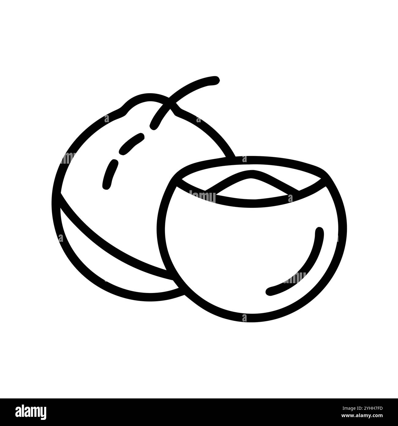 simple vector illustration of a coconut, in a simple and clean style ...