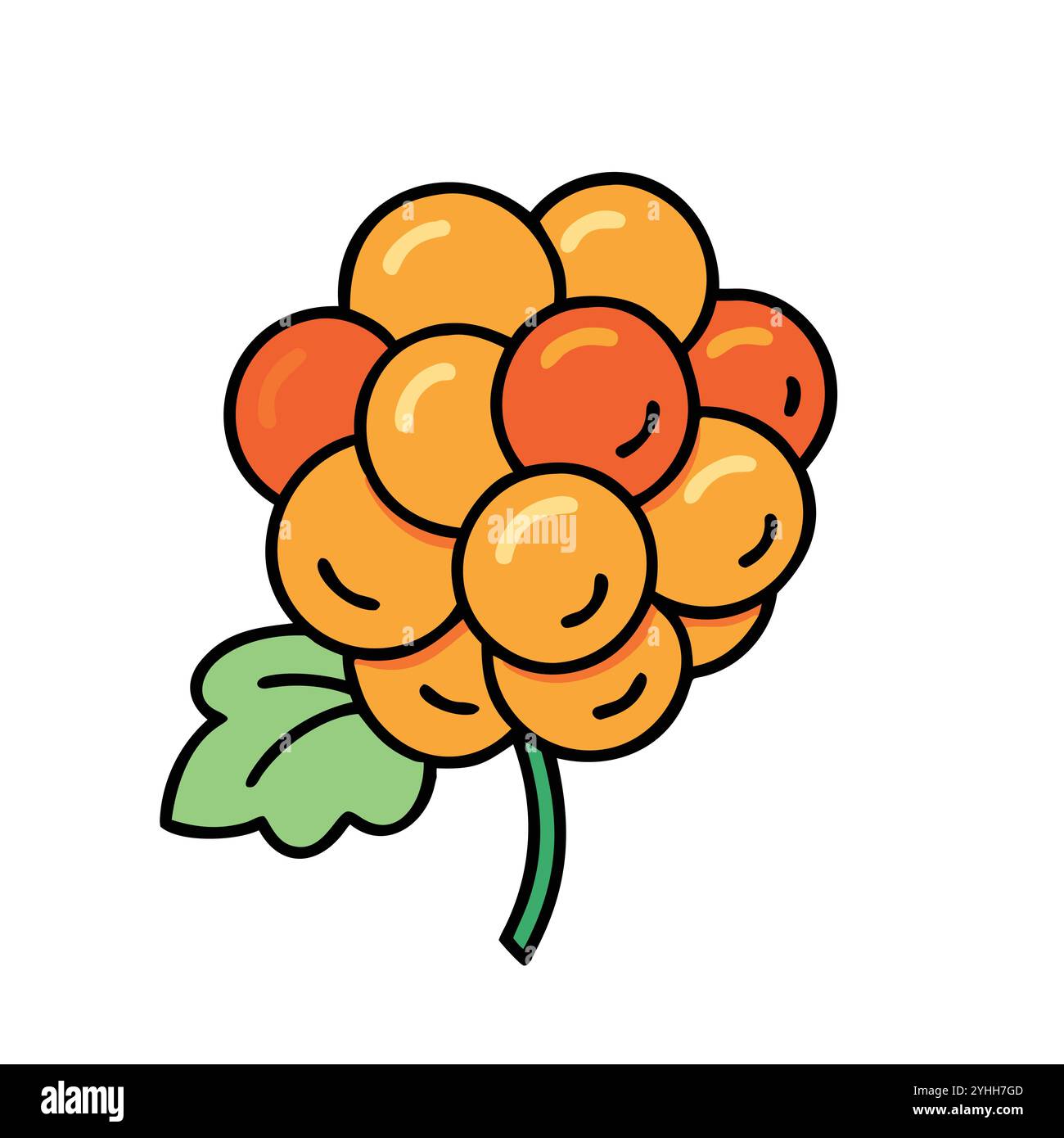 simple vector illustration of a cloudberry, in a simple and clean style ...
