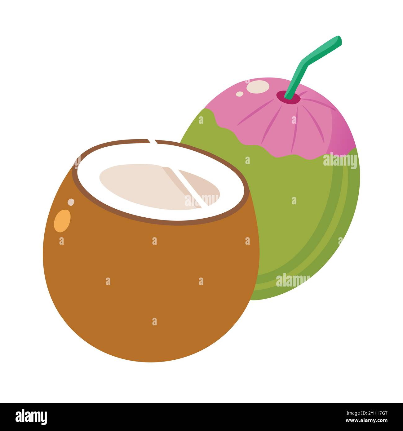 simple vector illustration of a coconut, in a simple and clean style ...