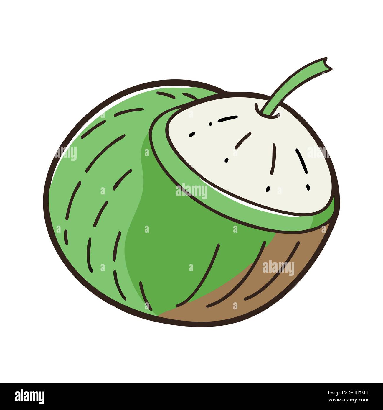 simple vector illustration of a coconut, in a simple and clean style ...