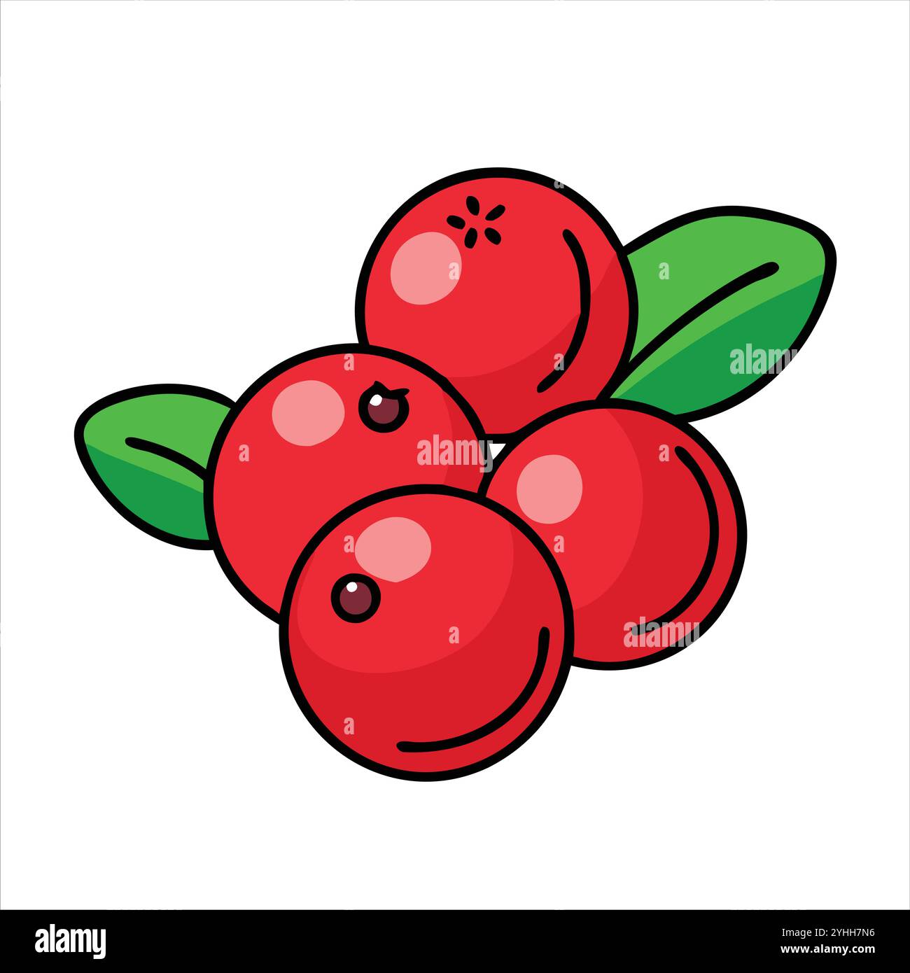 simple vector illustration of a cranberry, in a simple and clean style ...
