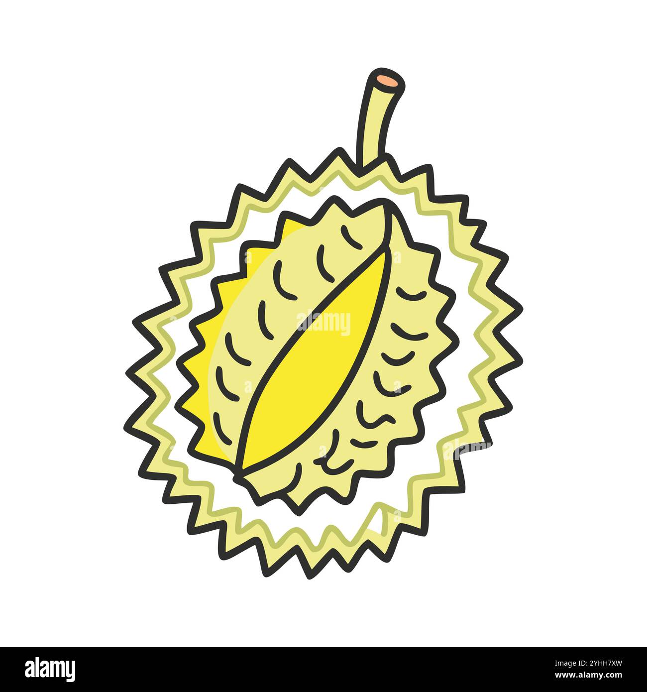 simple vector illustration of a durian, in a simple and clean style ...