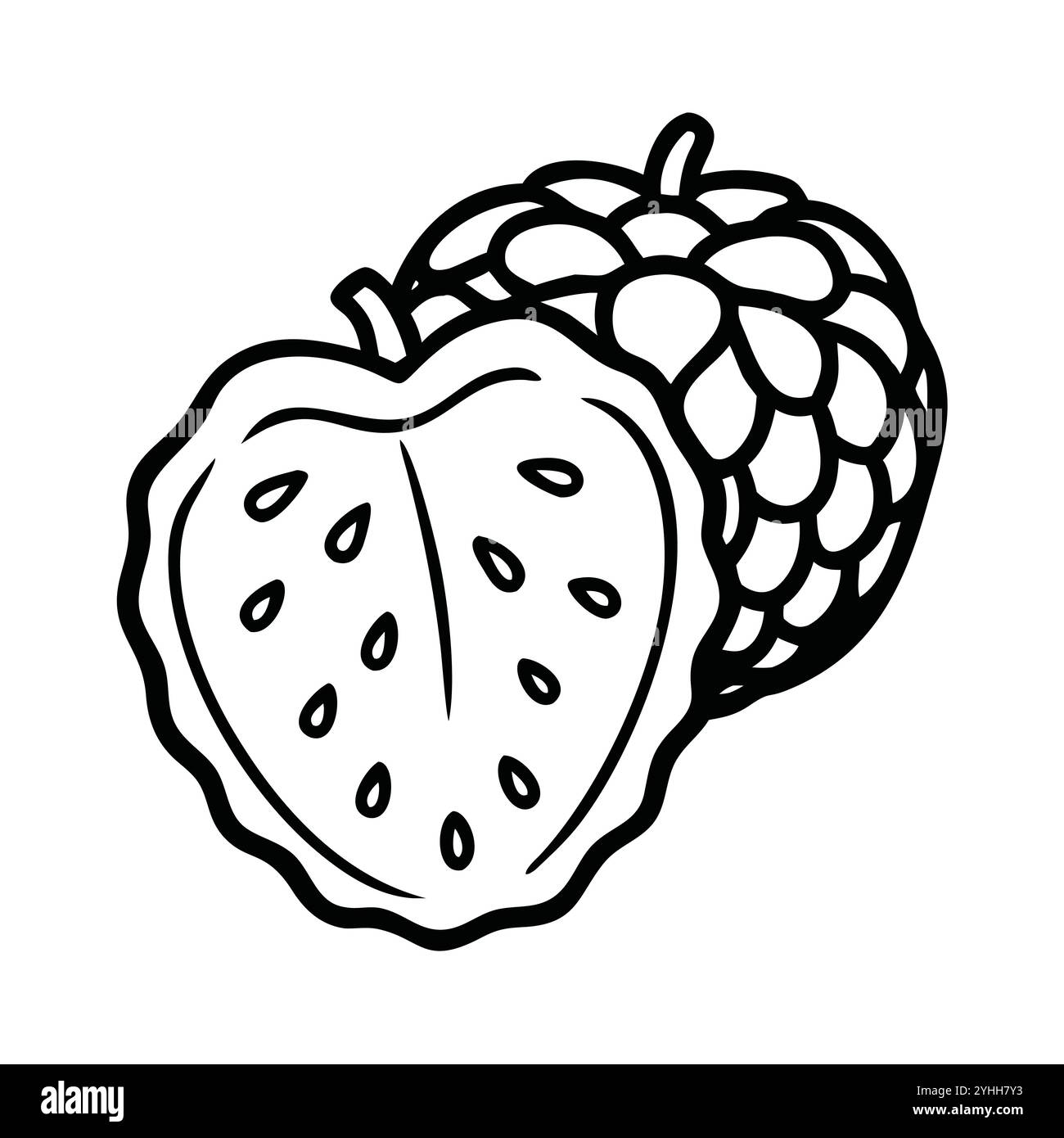 simple vector illustration of a cherimoya, in a simple and clean style ...