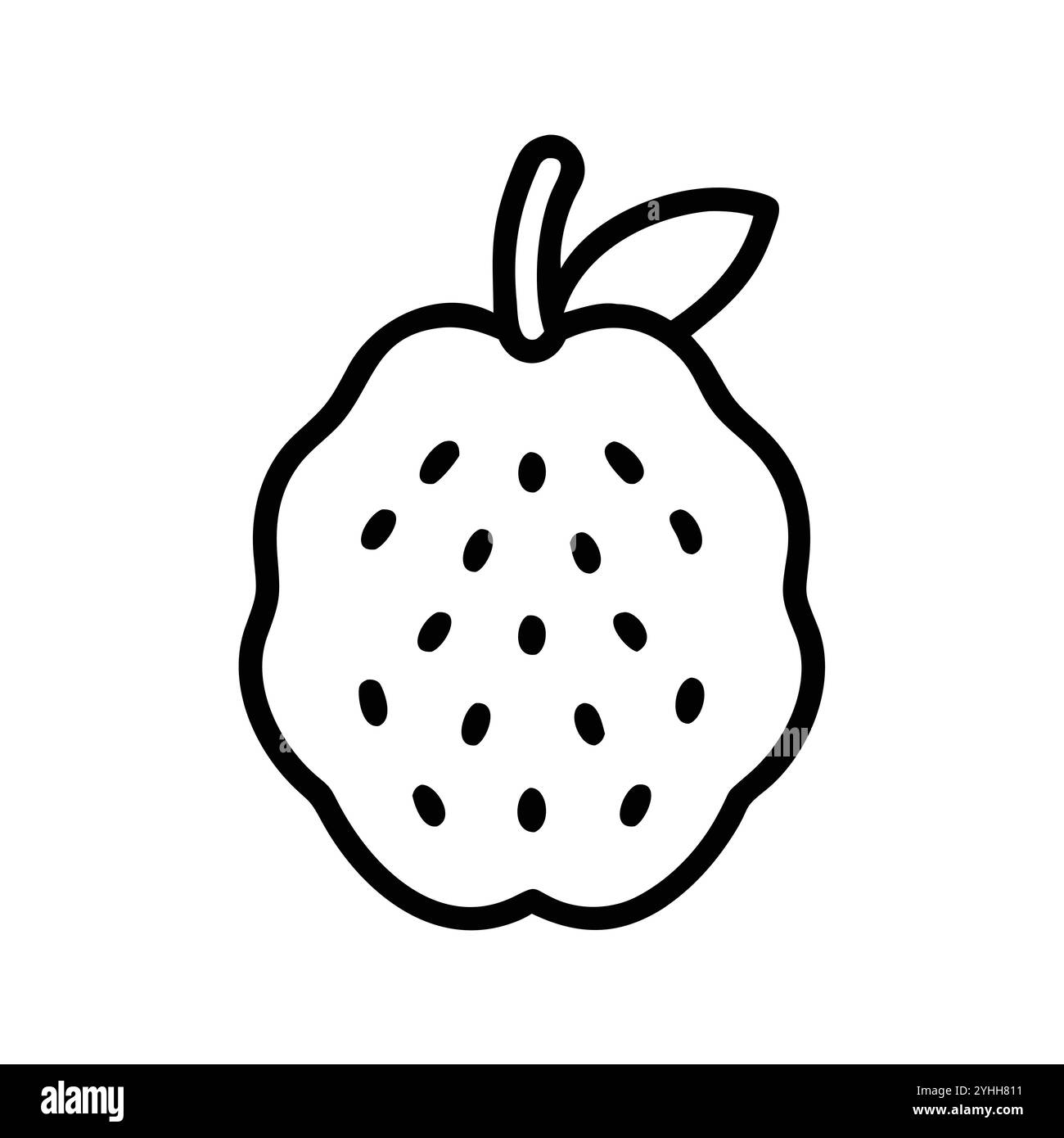 simple vector illustration of a cherimoya, in a simple and clean style ...