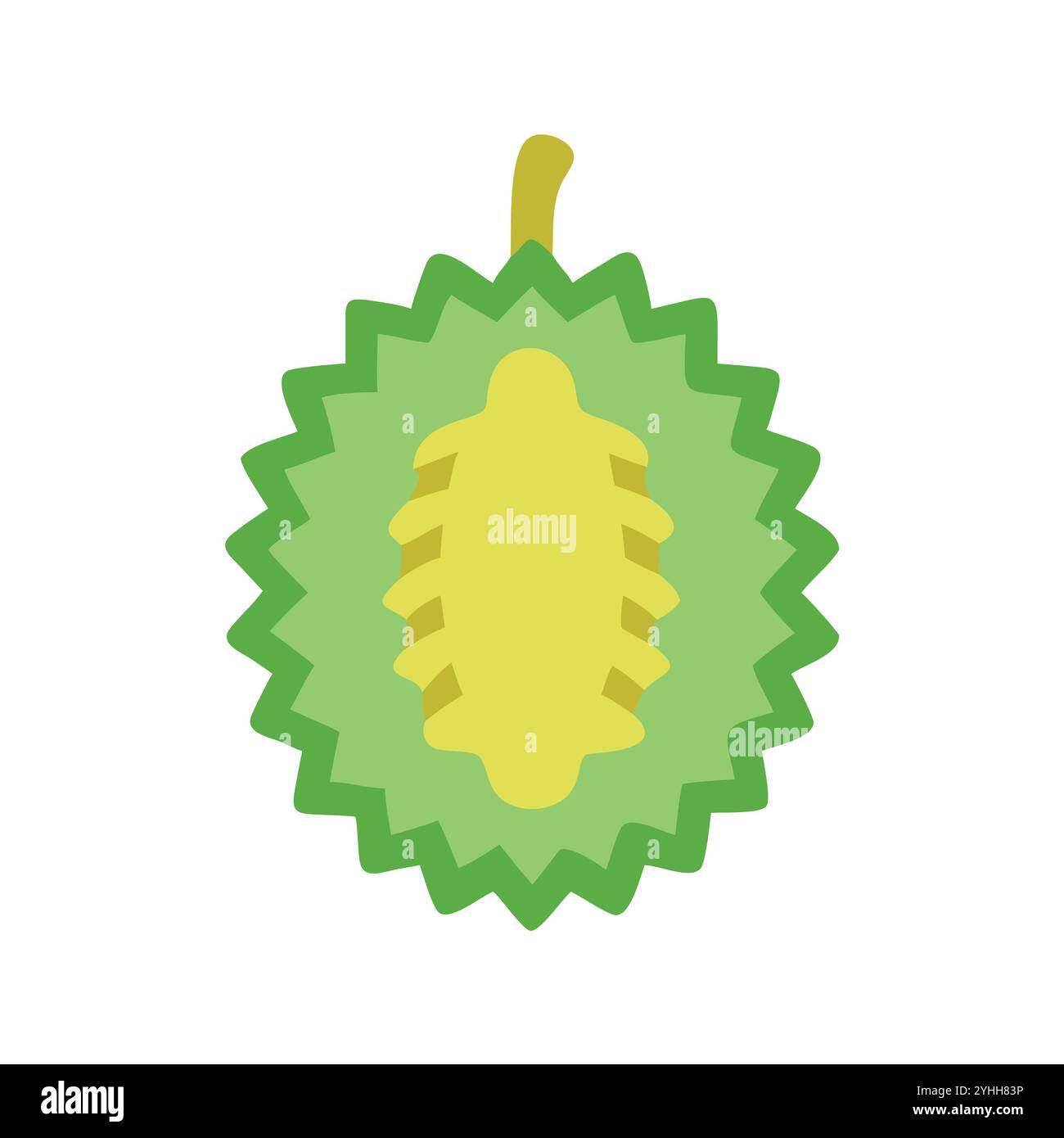 simple vector illustration of a durian, in a simple and clean style ...