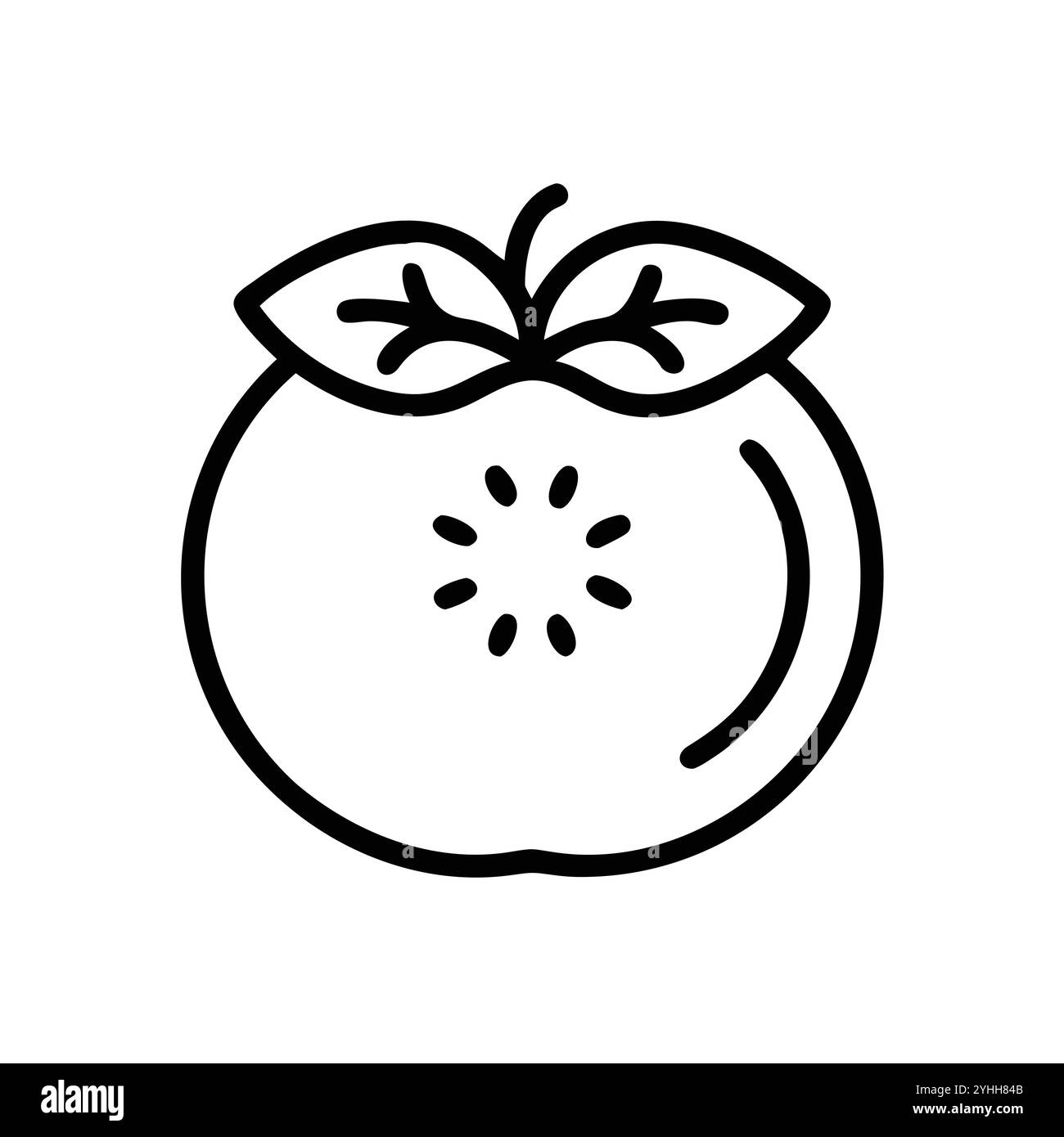 simple vector illustration of a fuyu persimmon, in a simple and clean ...
