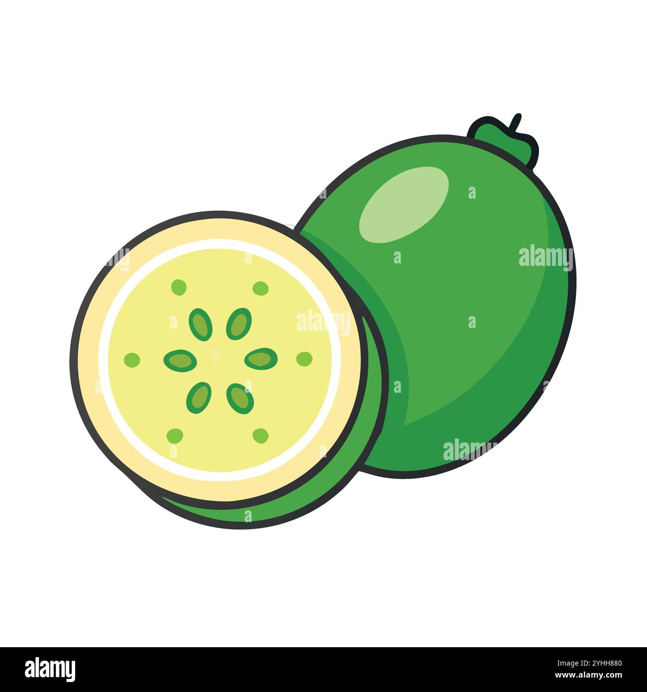 Feijoa icon hi-res stock photography and images - Alamy