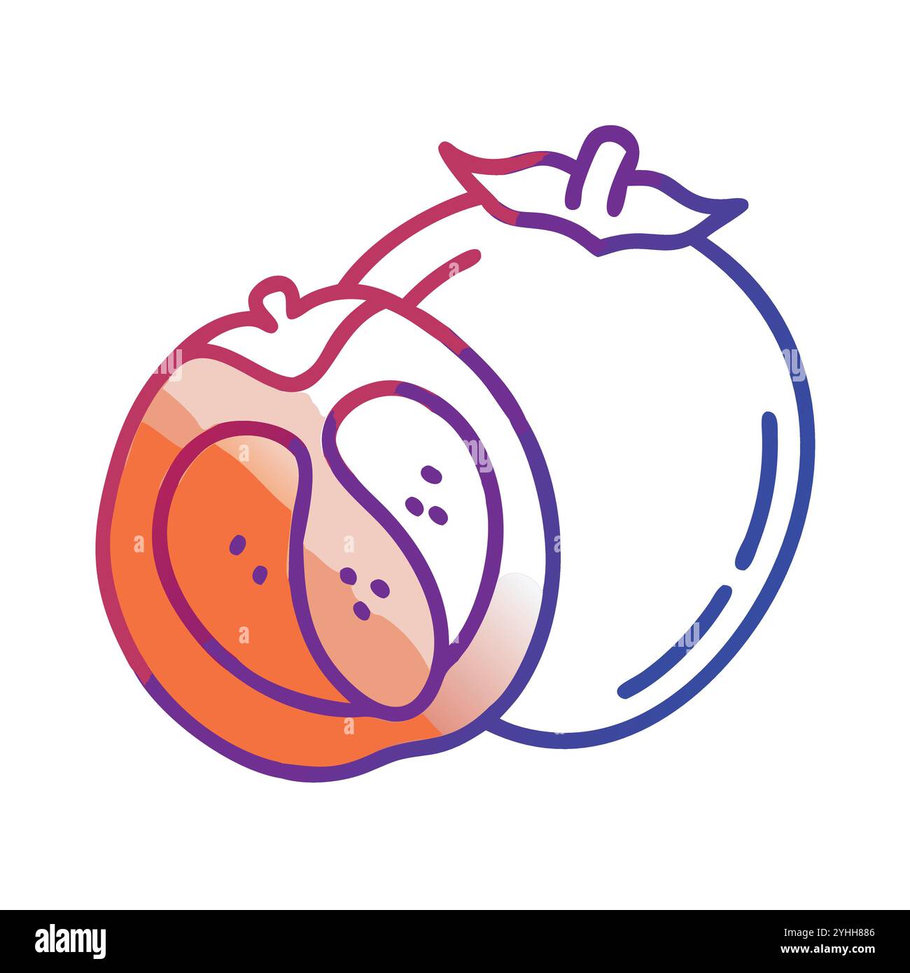 simple vector illustration of a fuyu persimmon, in a simple and clean ...