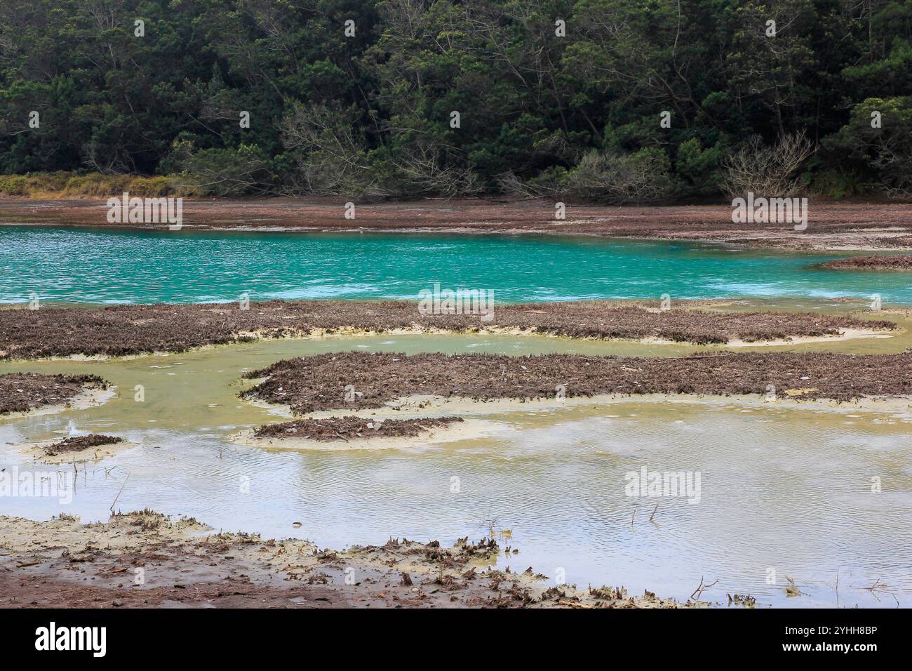 Telaga Warna, colorful lake in Dieng, Wonosobo where the water often ...