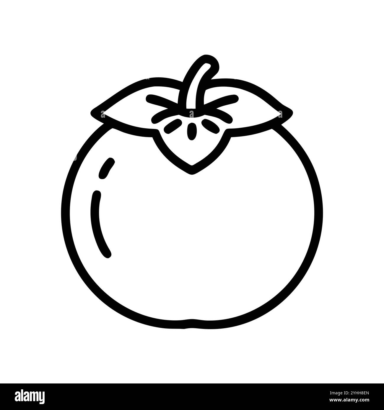 simple vector illustration of a fuyu persimmon, in a simple and clean ...