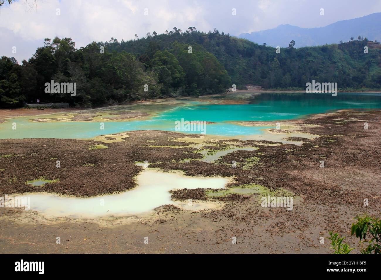 Telaga Warna, colorful lake in Dieng, Wonosobo where the water often ...