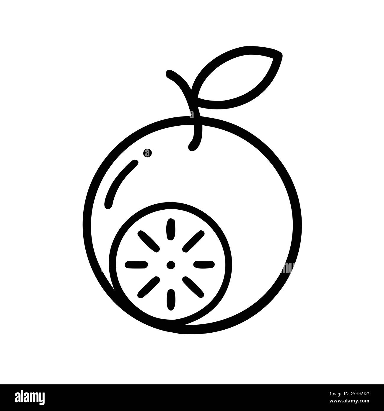 simple vector illustration of a grapefruit, in a simple and clean style ...