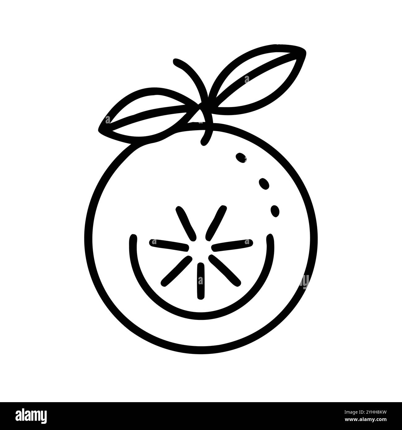 simple vector illustration of a grapefruit, in a simple and clean style ...
