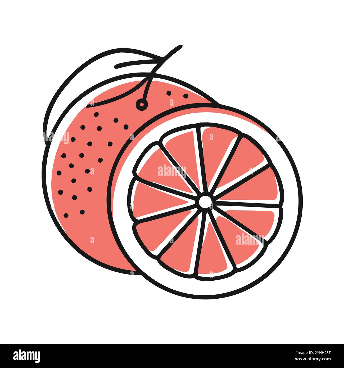 simple vector illustration of a grapefruit, in a simple and clean style ...