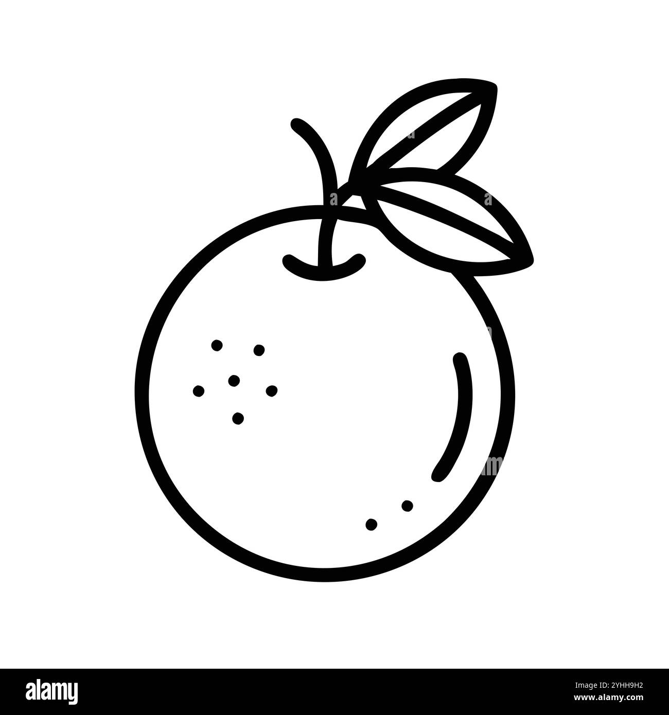 Grapefruit clipart Black and White Stock Photos & Images - Alamy