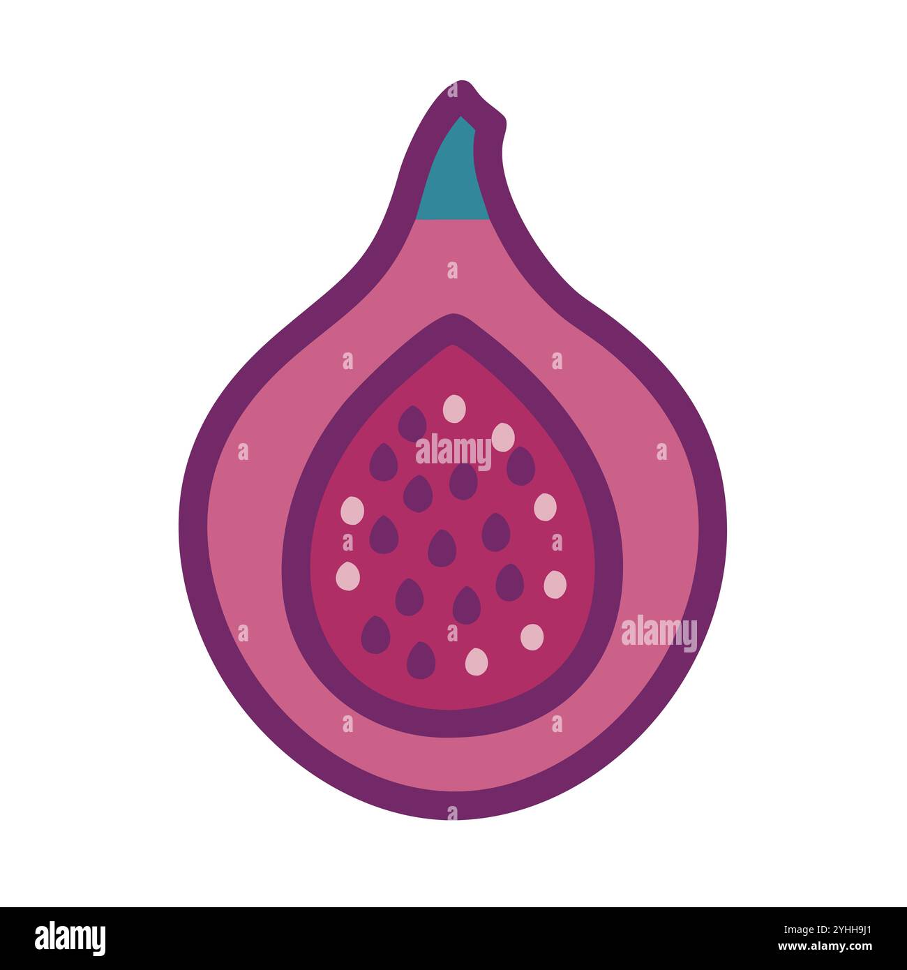 simple vector illustration of a fig, in a simple and clean style ...
