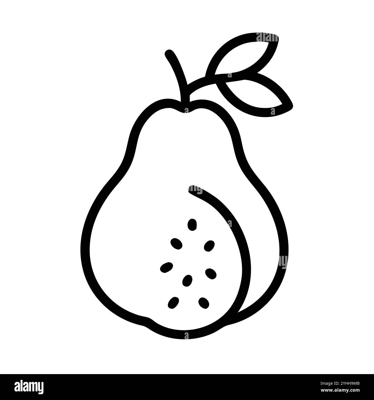 simple vector illustration of a guava, in a simple and clean style ...