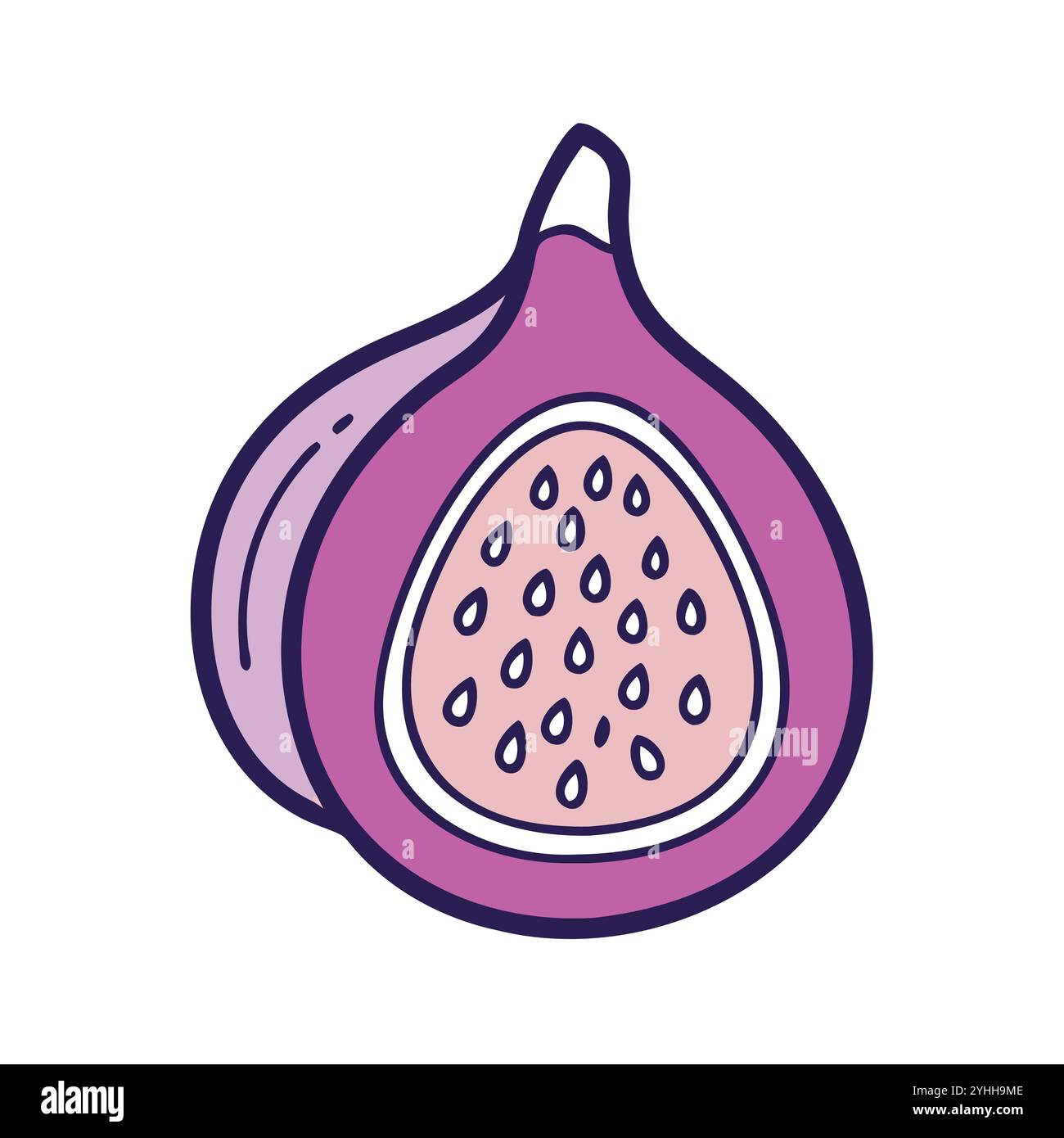 simple vector illustration of a fig, in a simple and clean style ...