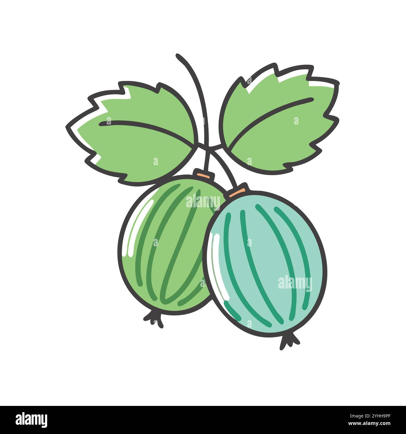 simple vector illustration of a gooseberry, in a simple and clean style ...