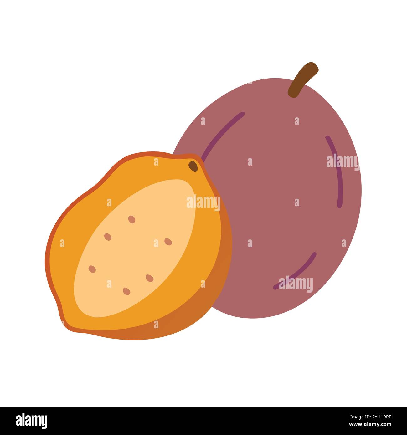Hog plum vector vectors hi-res stock photography and images - Alamy