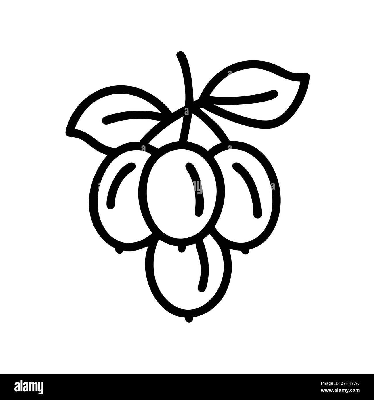 Drawing of gooseberry Black and White Stock Photos & Images - Alamy
