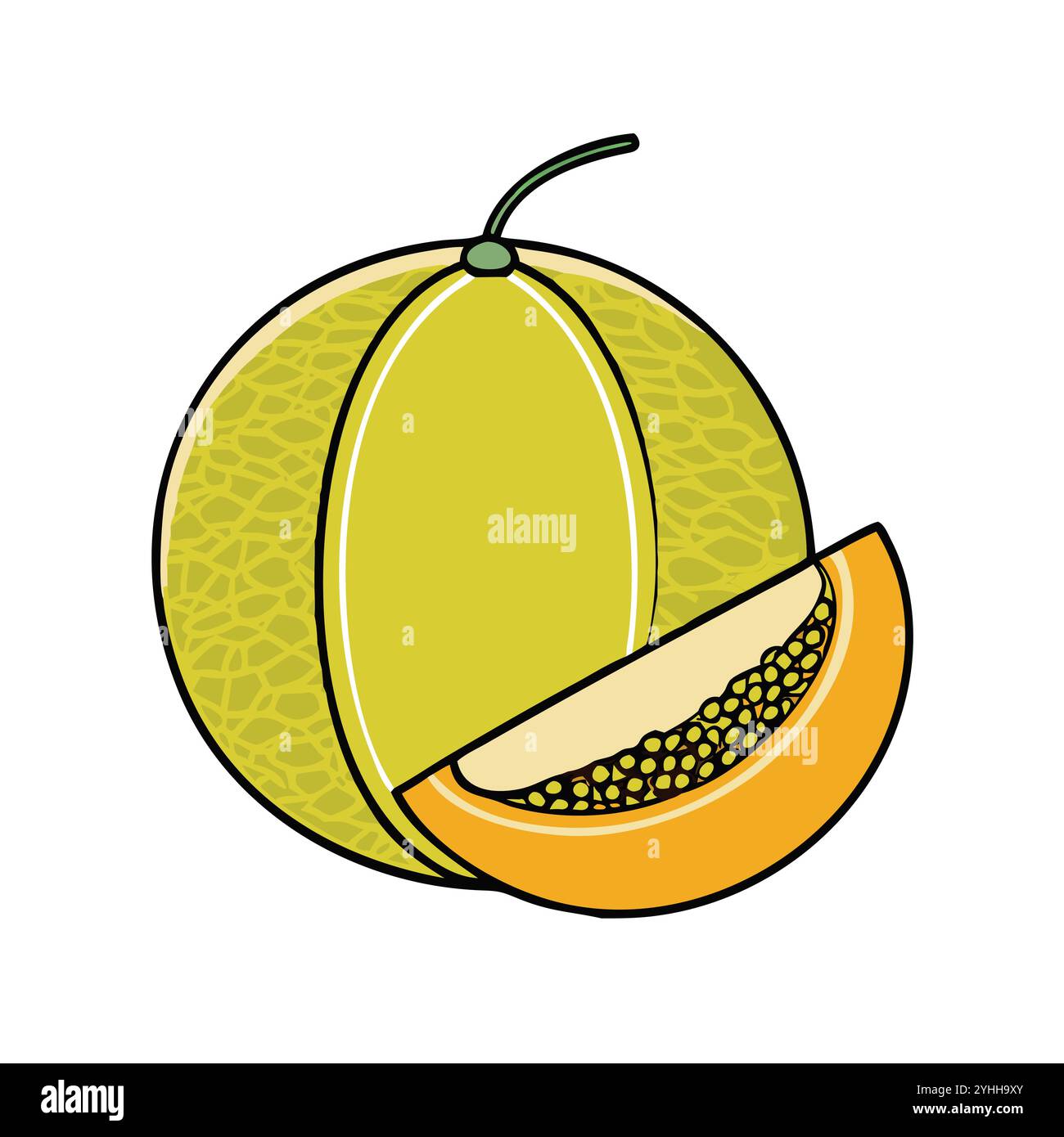 Melon vector vectors Stock Vector Images - Alamy