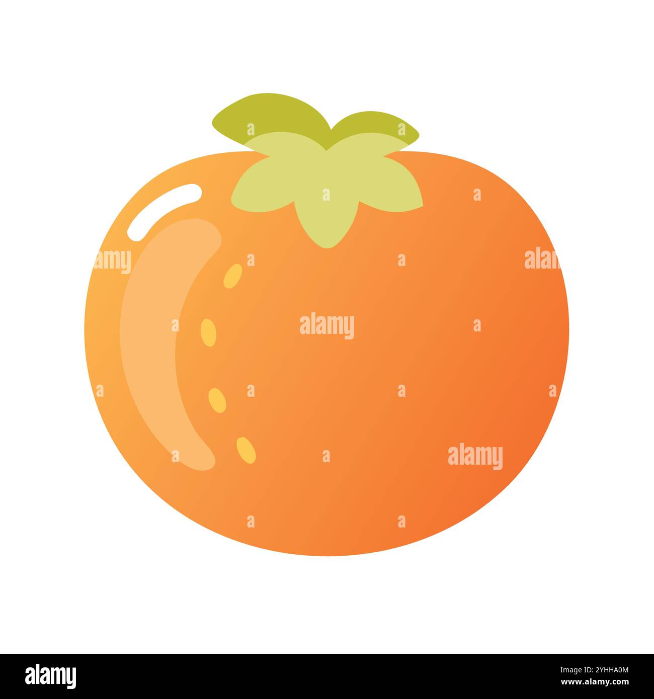 simple vector illustration of a fuyu persimmon, in a simple and clean ...