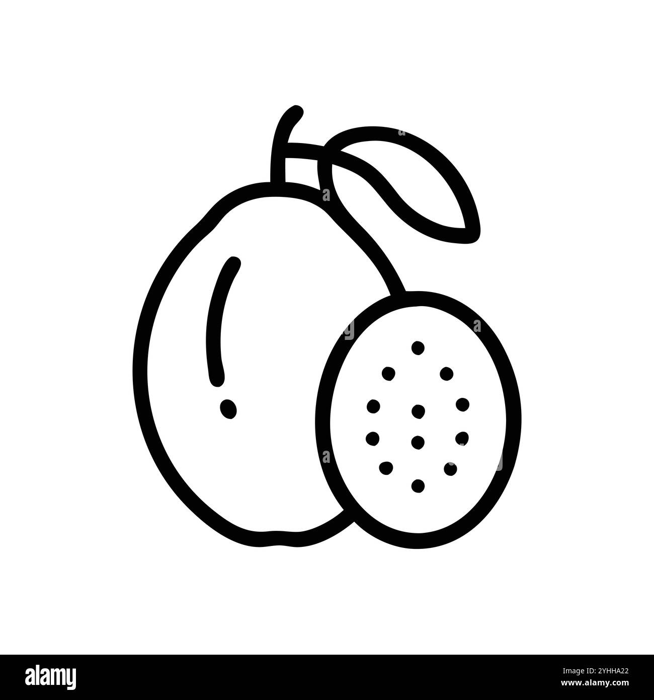 simple vector illustration of a hog plum, in a simple and clean style ...