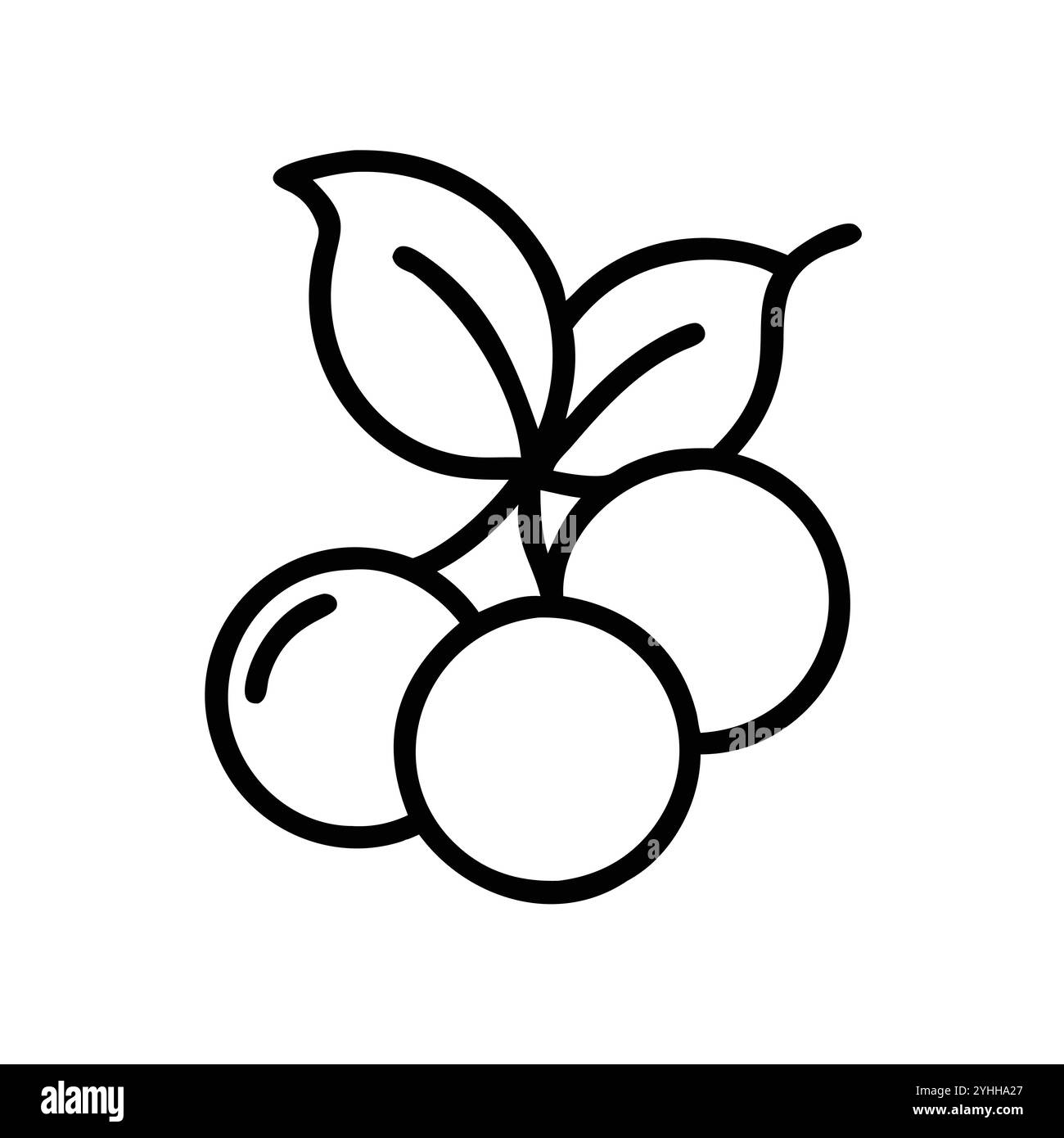 Drawing of gooseberry Black and White Stock Photos & Images - Alamy