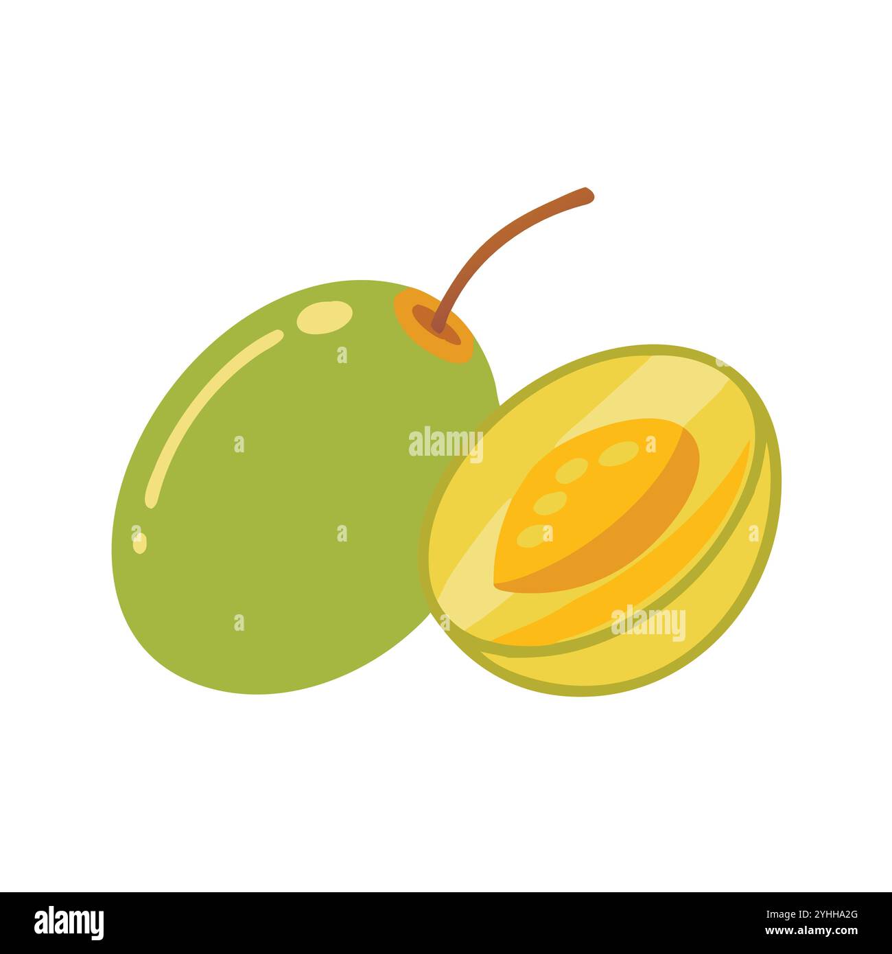 simple vector illustration of a hog plum, in a simple and clean style ...