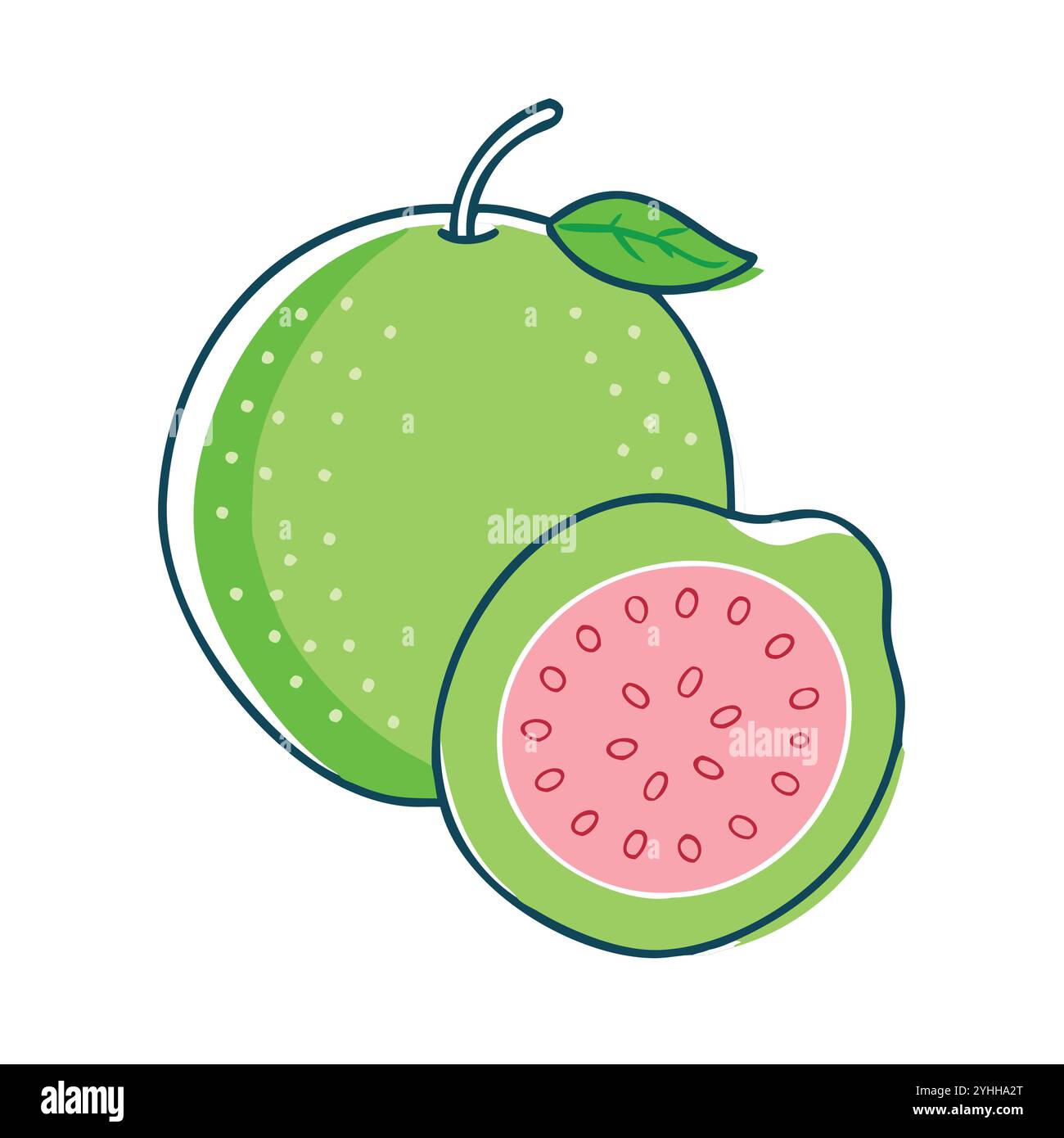 simple vector illustration of a guava, in a simple and clean style ...