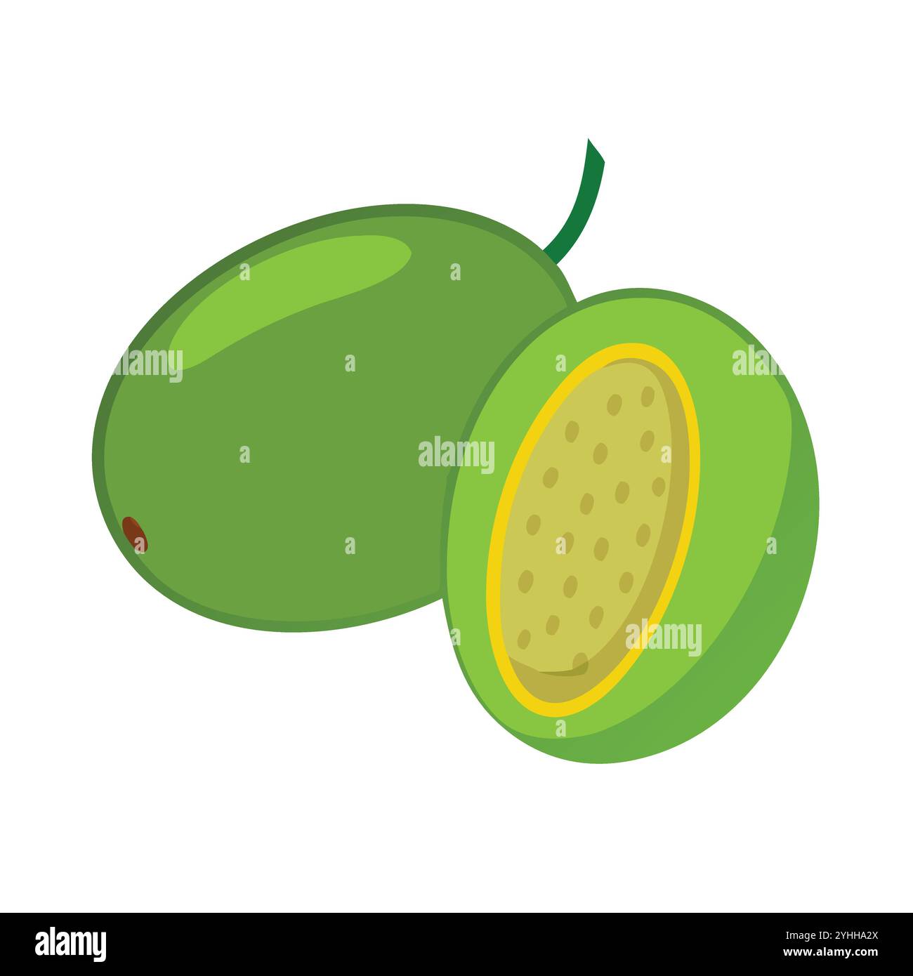 simple vector illustration of a hog plum, in a simple and clean style ...