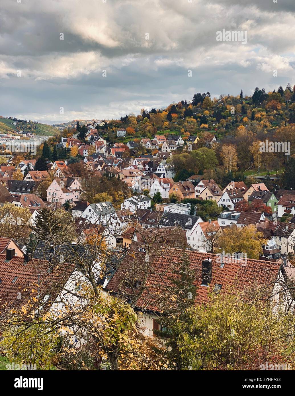 Bright vibrant autumn colours hi-res stock photography and images - Alamy