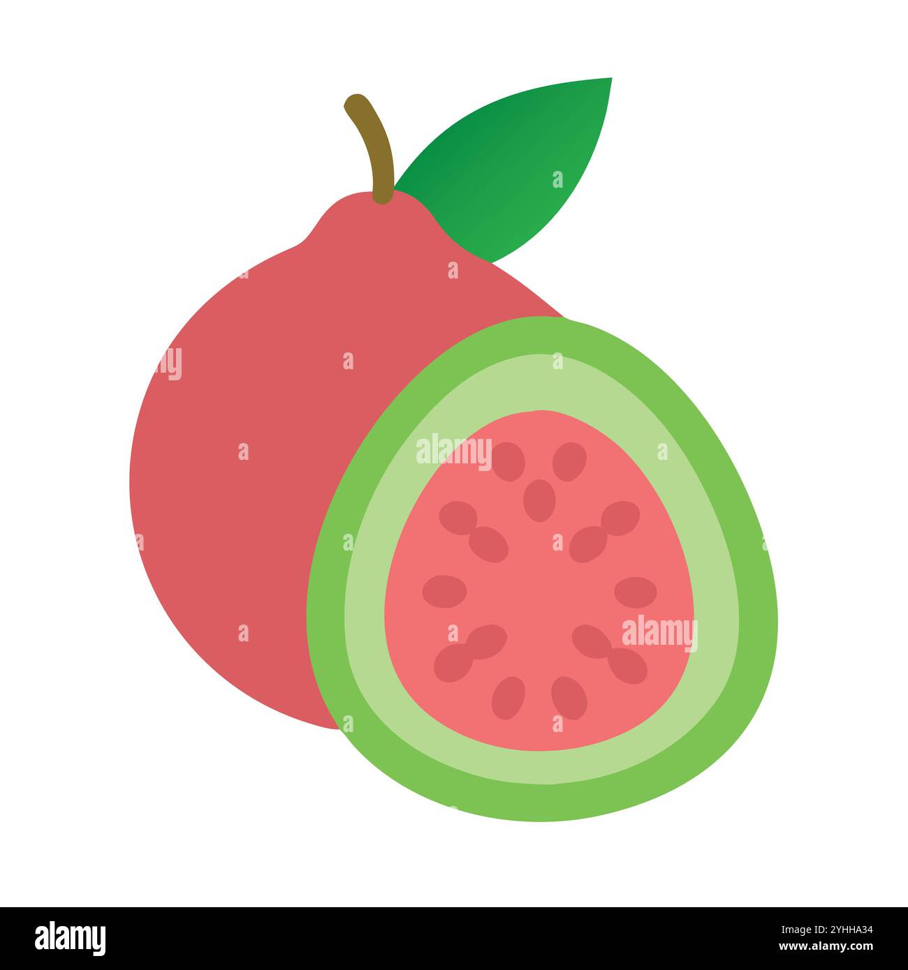 simple vector illustration of a guava, in a simple and clean style ...