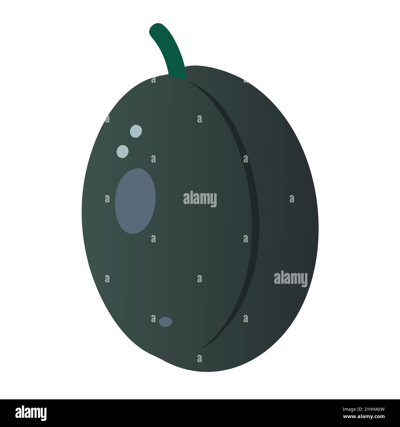 simple vector illustration of a hog plum, in a simple and clean style ...