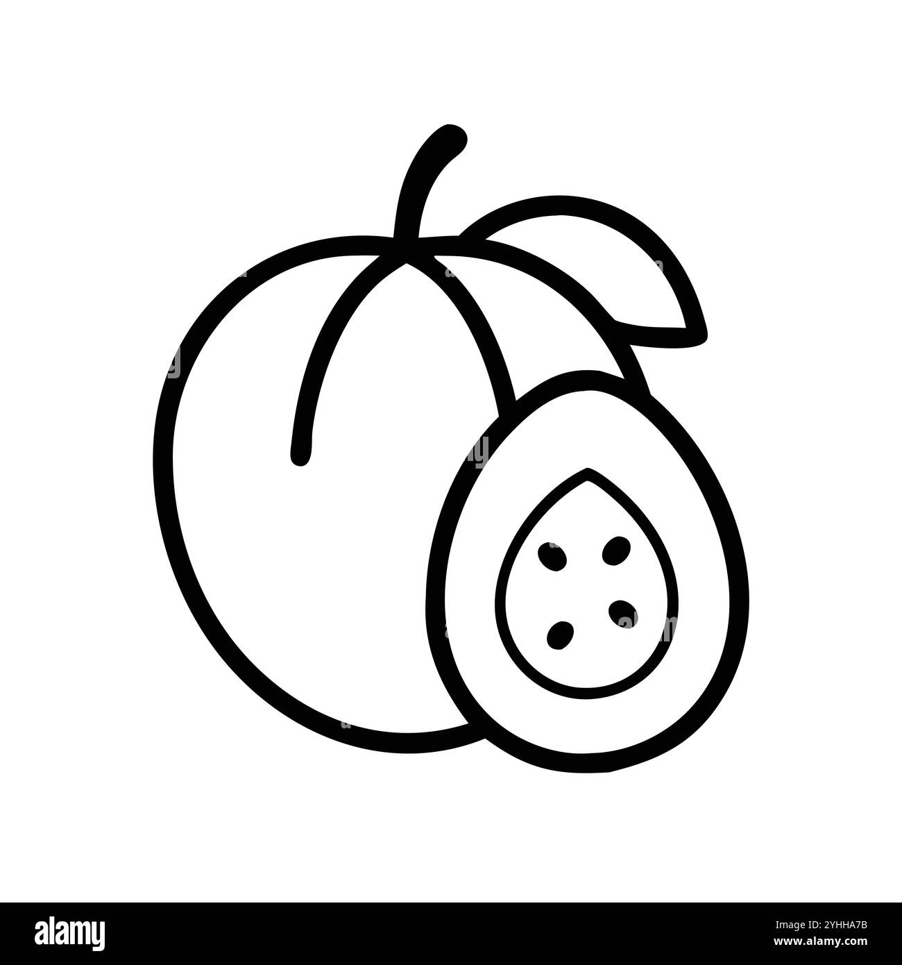 simple vector illustration of a hog plum, in a simple and clean style ...