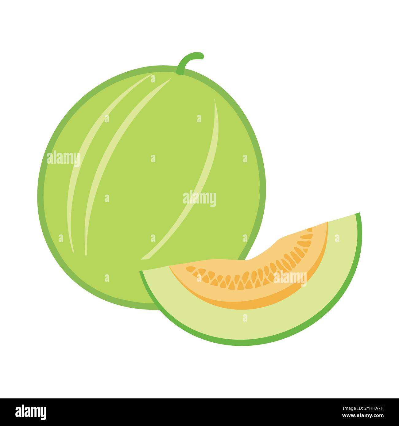 simple vector illustration of a honeydew melon, in a simple and clean style, suitable for food ...