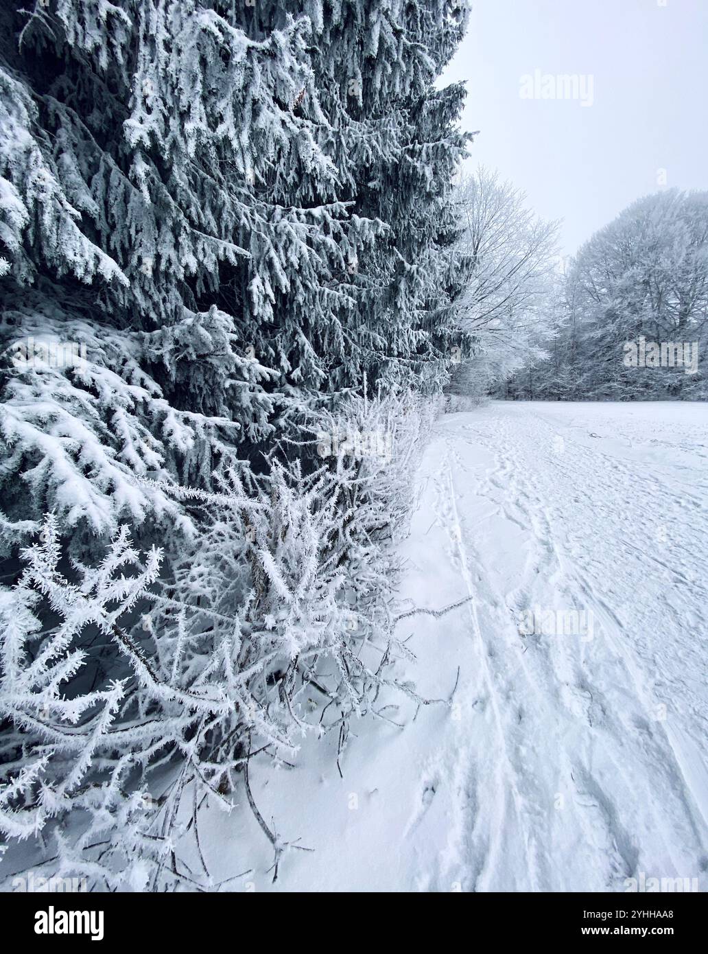 Winter in Germany Stock Photo - Alamy