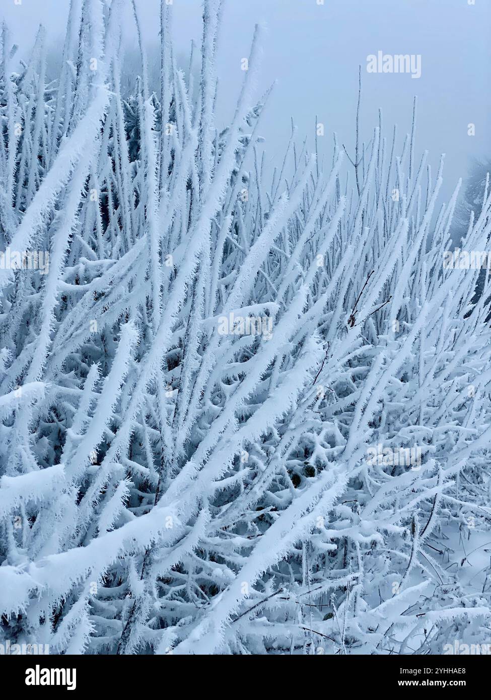 Winter in Germany Stock Photo - Alamy