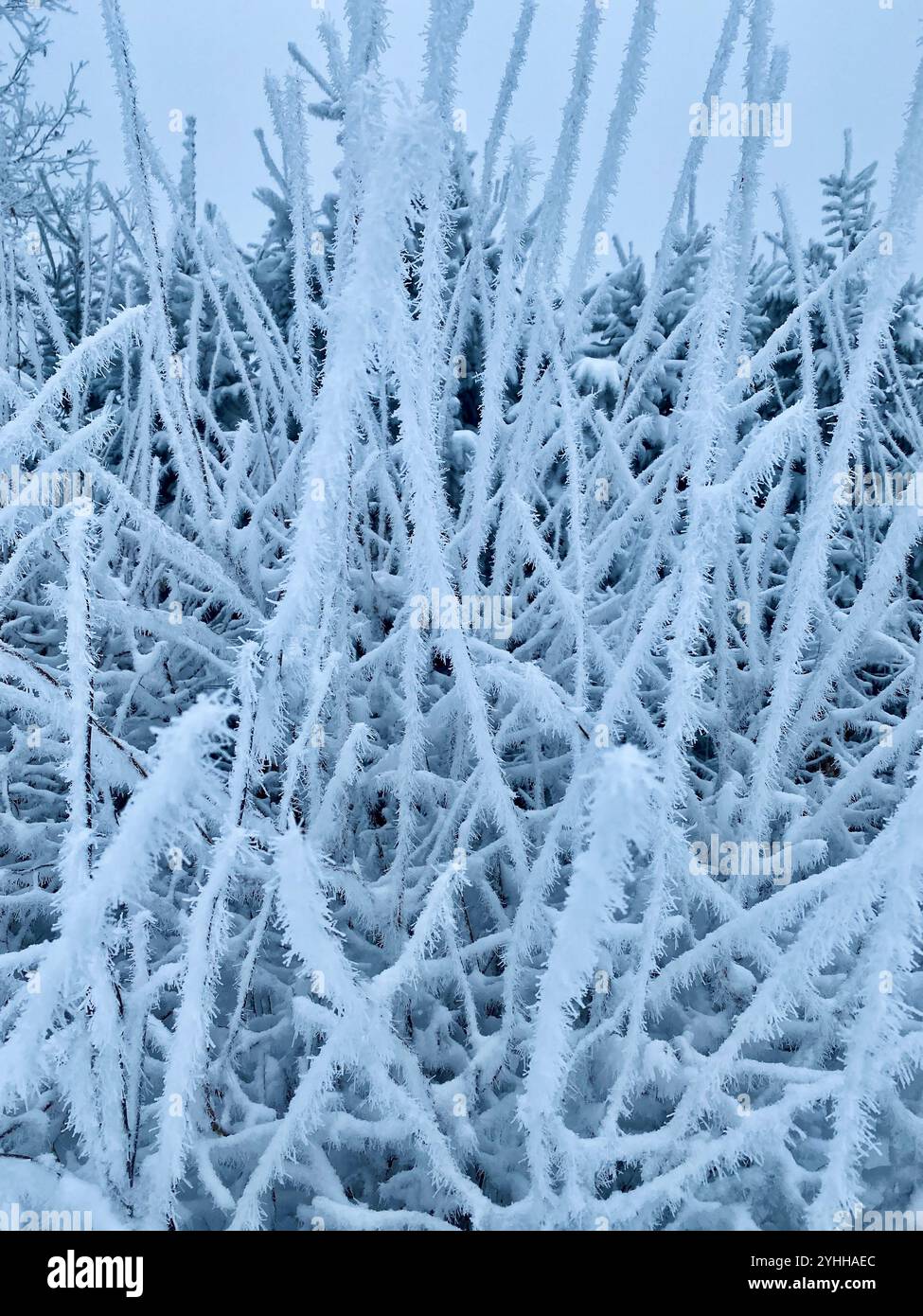 Winter in Germany Stock Photo - Alamy