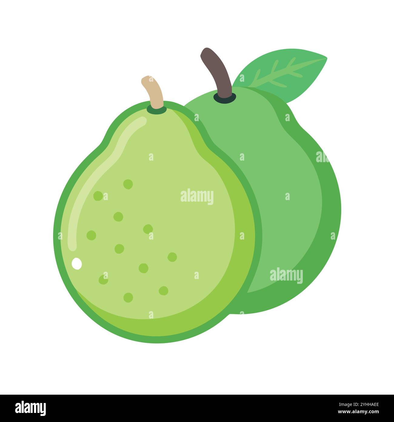 simple vector illustration of a guava, in a simple and clean style ...