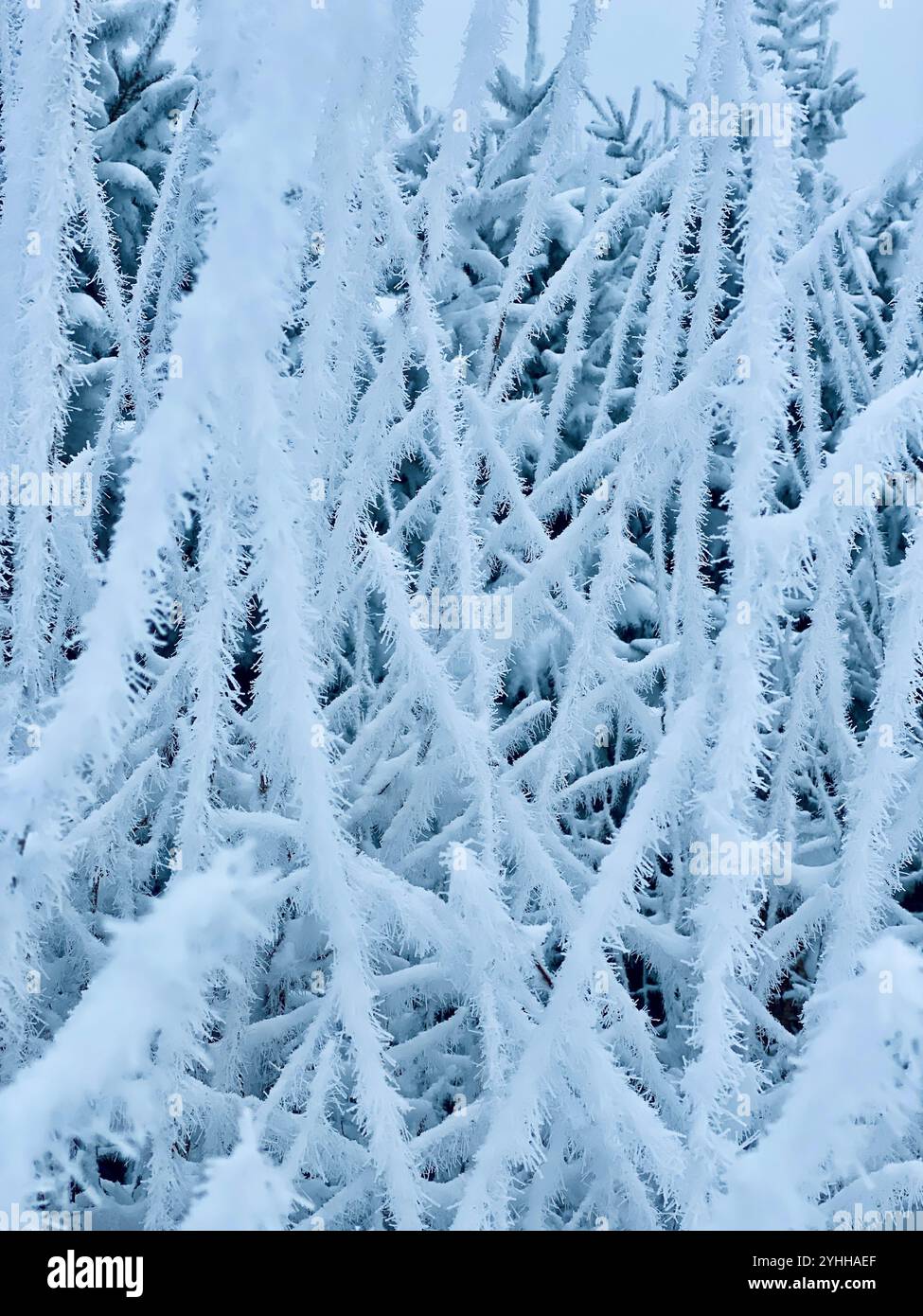 Winter in Germany Stock Photo - Alamy