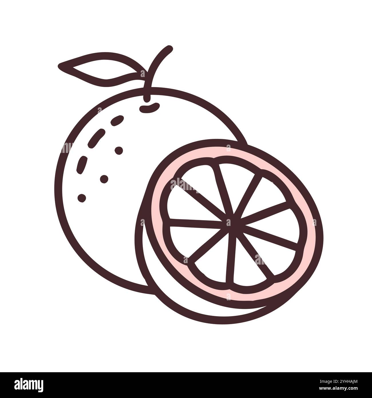 simple vector illustration of a grapefruit, in a simple and clean style ...