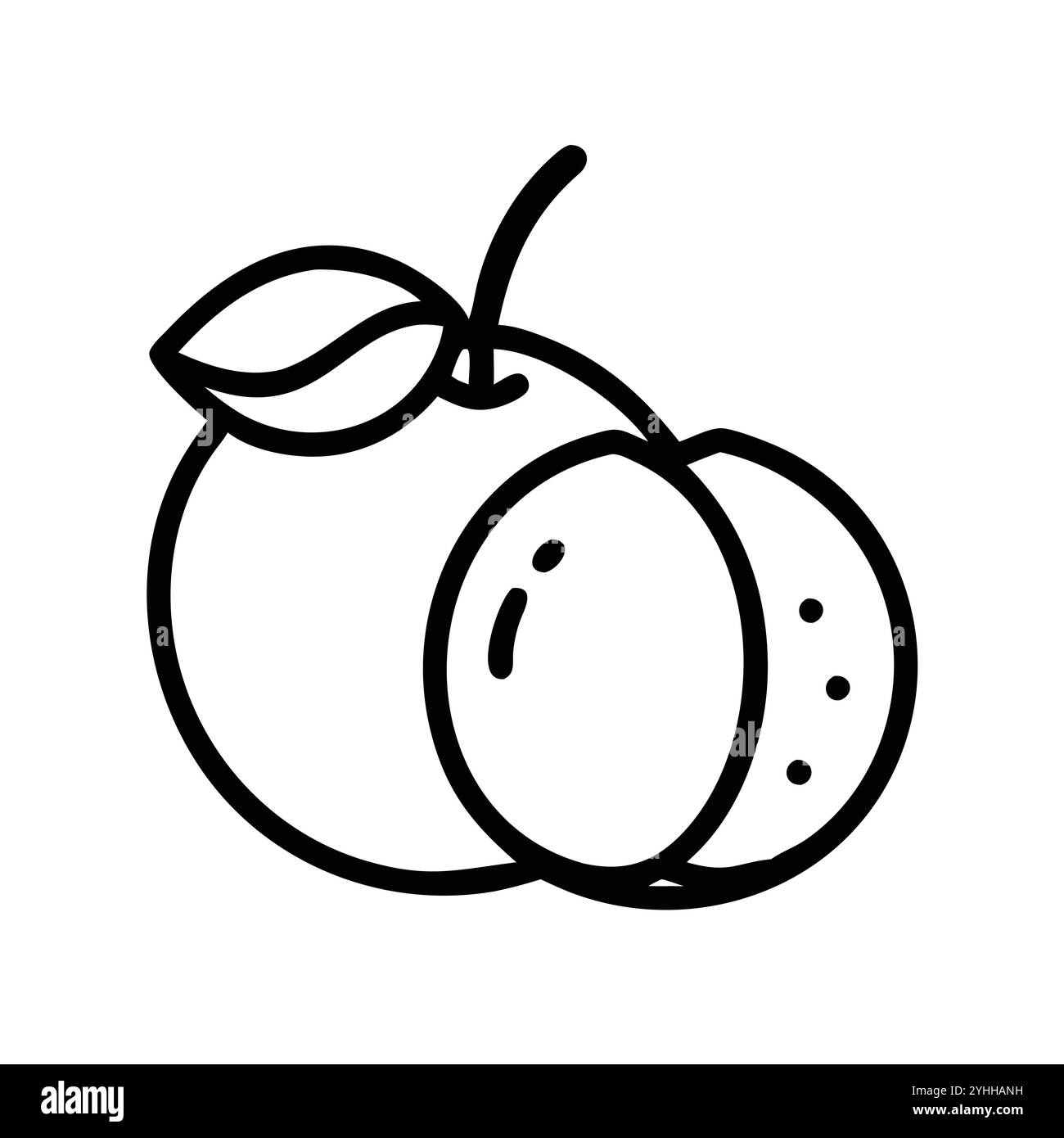 Hog plum Black and White Stock Photos & Images - Alamy